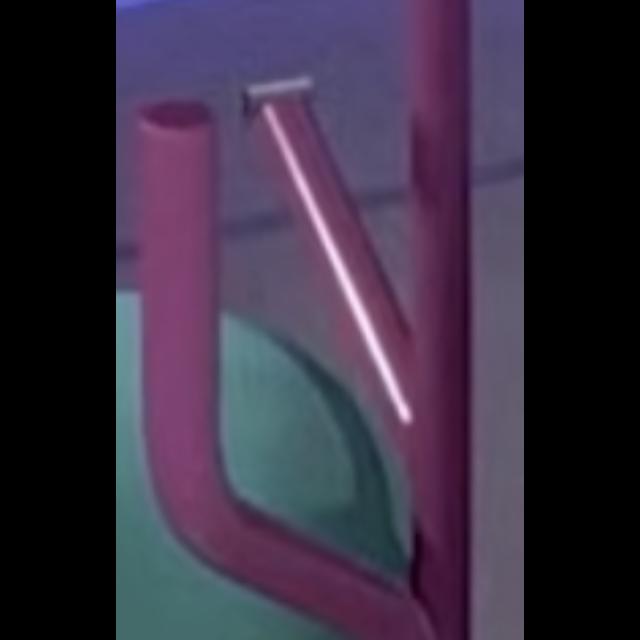 coral and algae Object Detection Dataset by vision