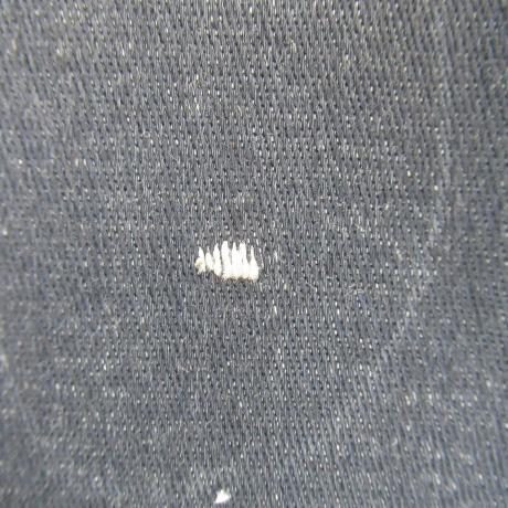 Seg Instance Segmentation Dataset and Pre-Trained Model by Seg