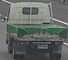 yes_cover_no_damage Instance Segmentation Dataset by phong