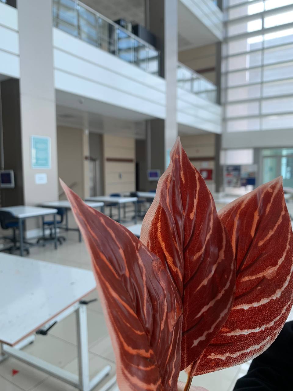 Bitki Object Detection Dataset And Pre Trained Model By Mmo