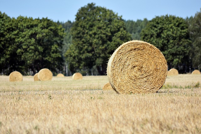 Bale tracking - Roboflow Universe