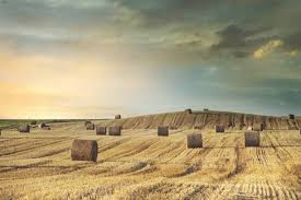 Bale tracking - Roboflow Universe