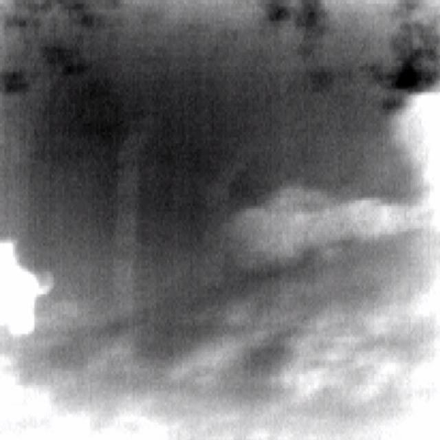 thermal-cheetah-my4dp-zvgwh-ooto Object Detection Dataset by Roboflow 100-VL