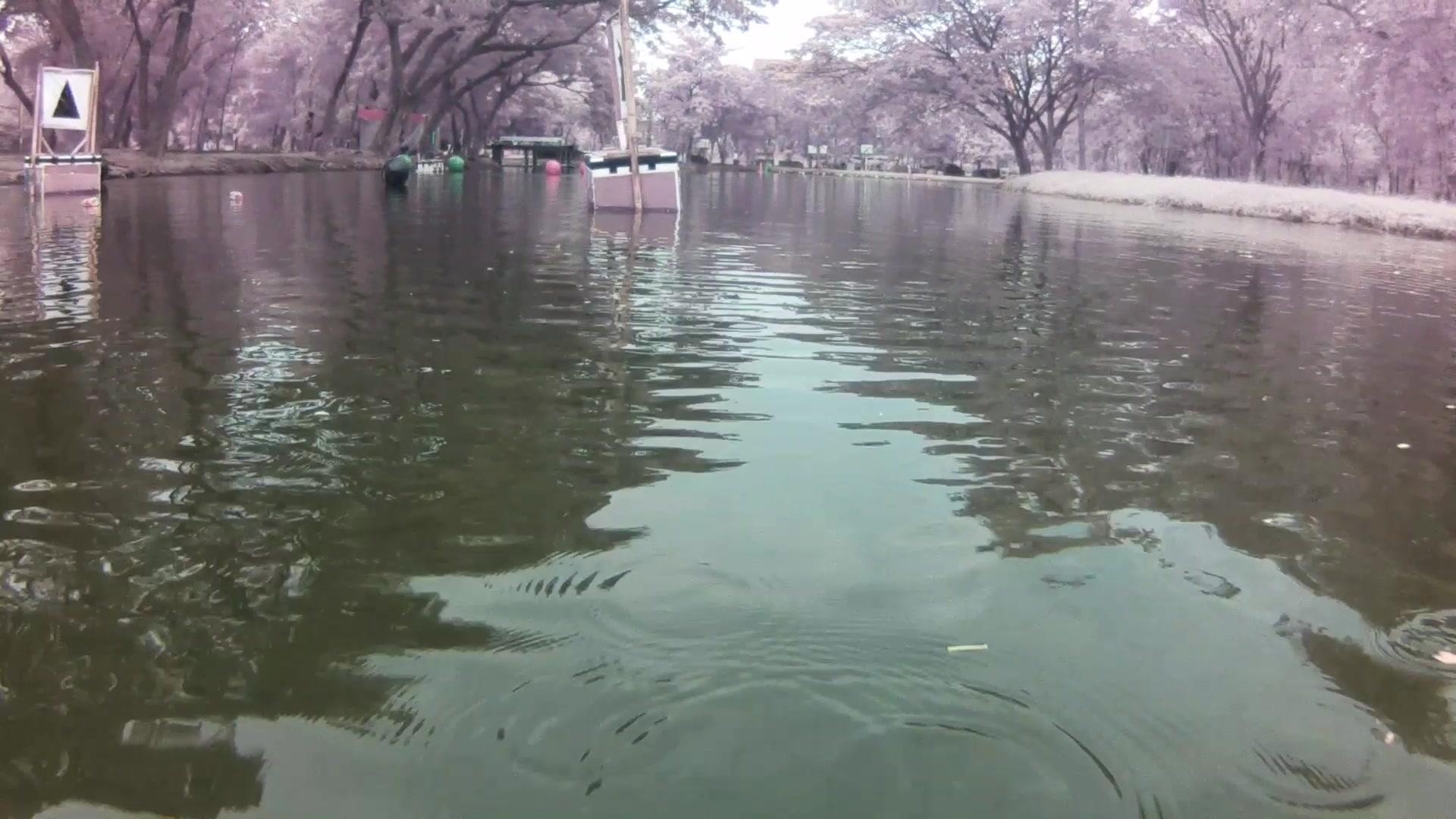 floating-waste-8deje-lrbq Object Detection Dataset by Roboflow 100-VL