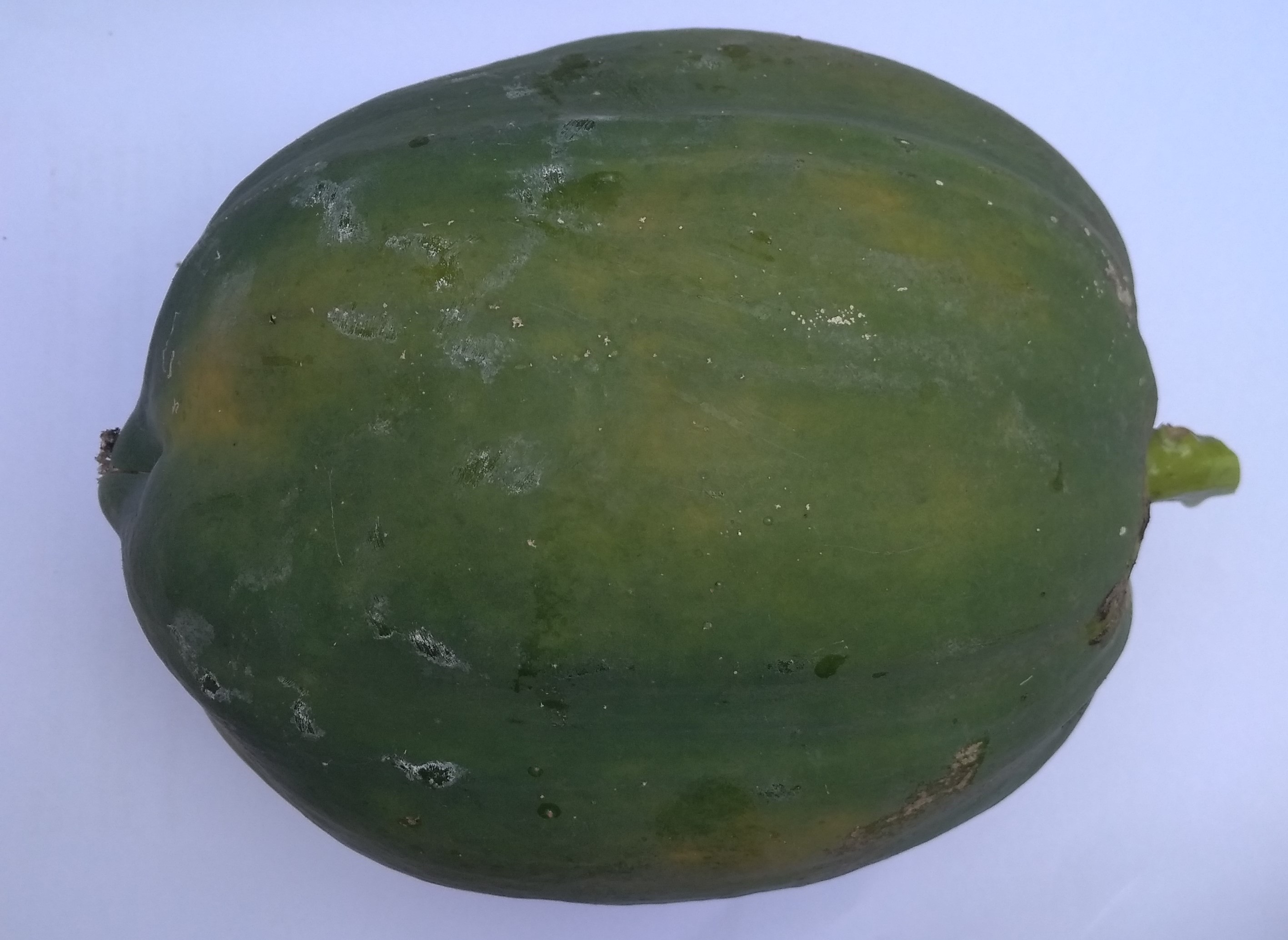 papaya maturity classification Object Detection Dataset by lendi