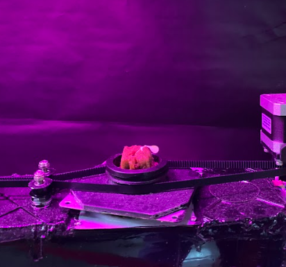 How to Use the Isolating Plants Instance Segmentation API