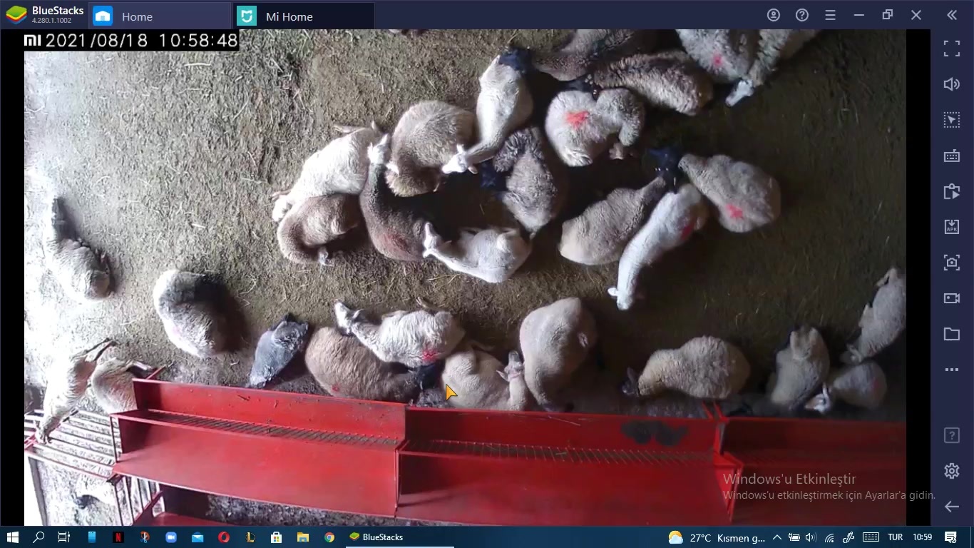 Sheep Object Detection Dataset By Emir Kiani