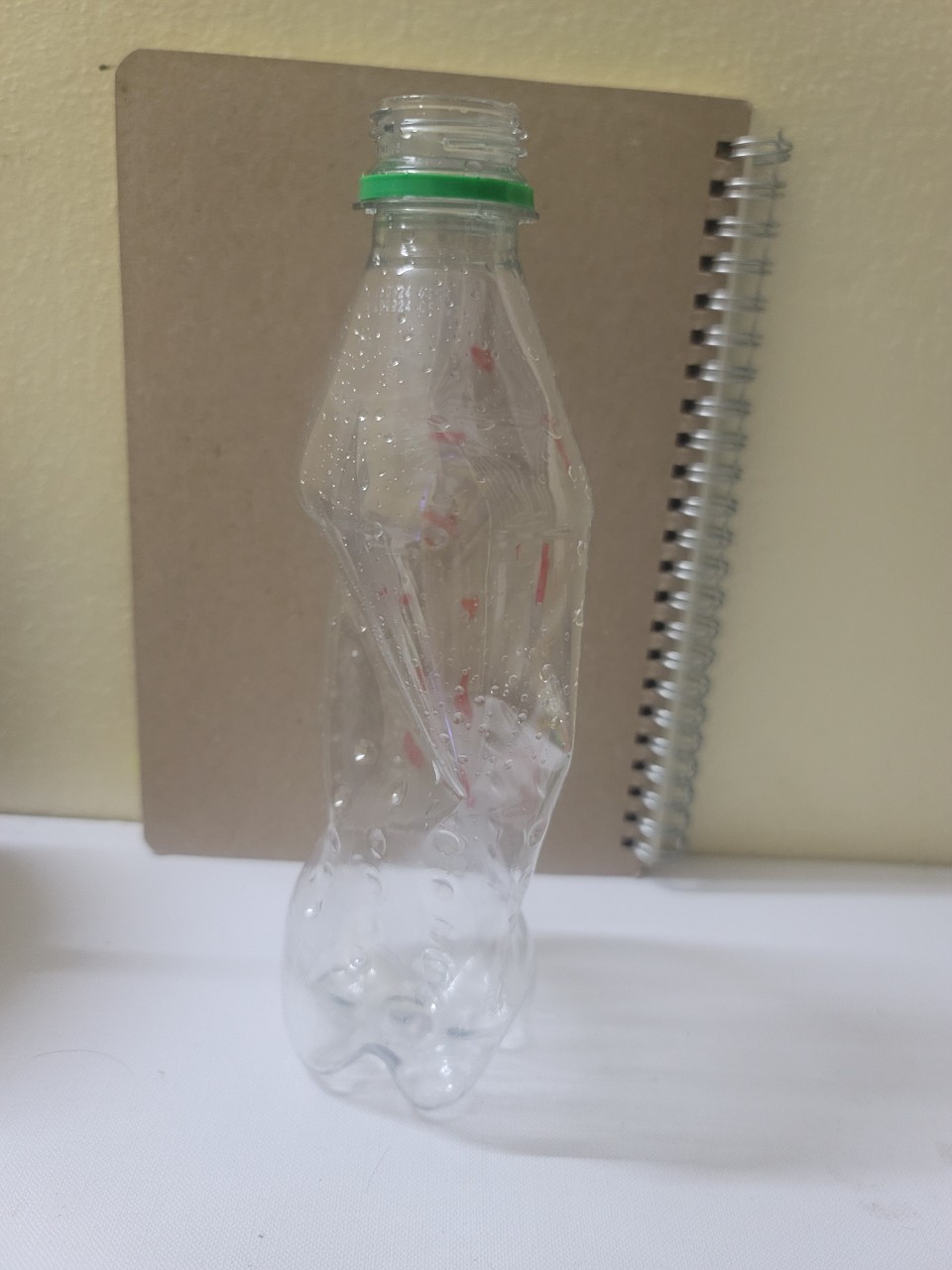 Detect error Object Detection Dataset by Bottle
