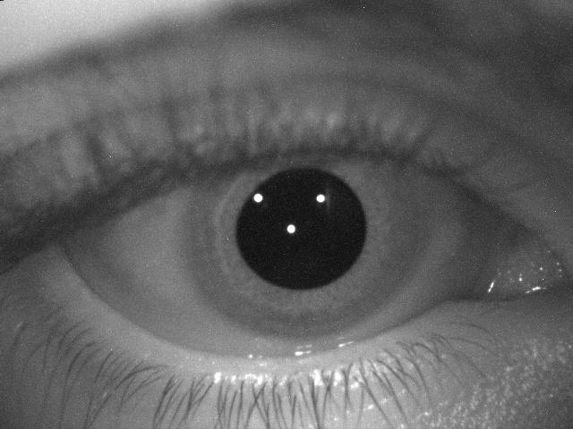 artem (artem-bdqda) - Roboflow Universe