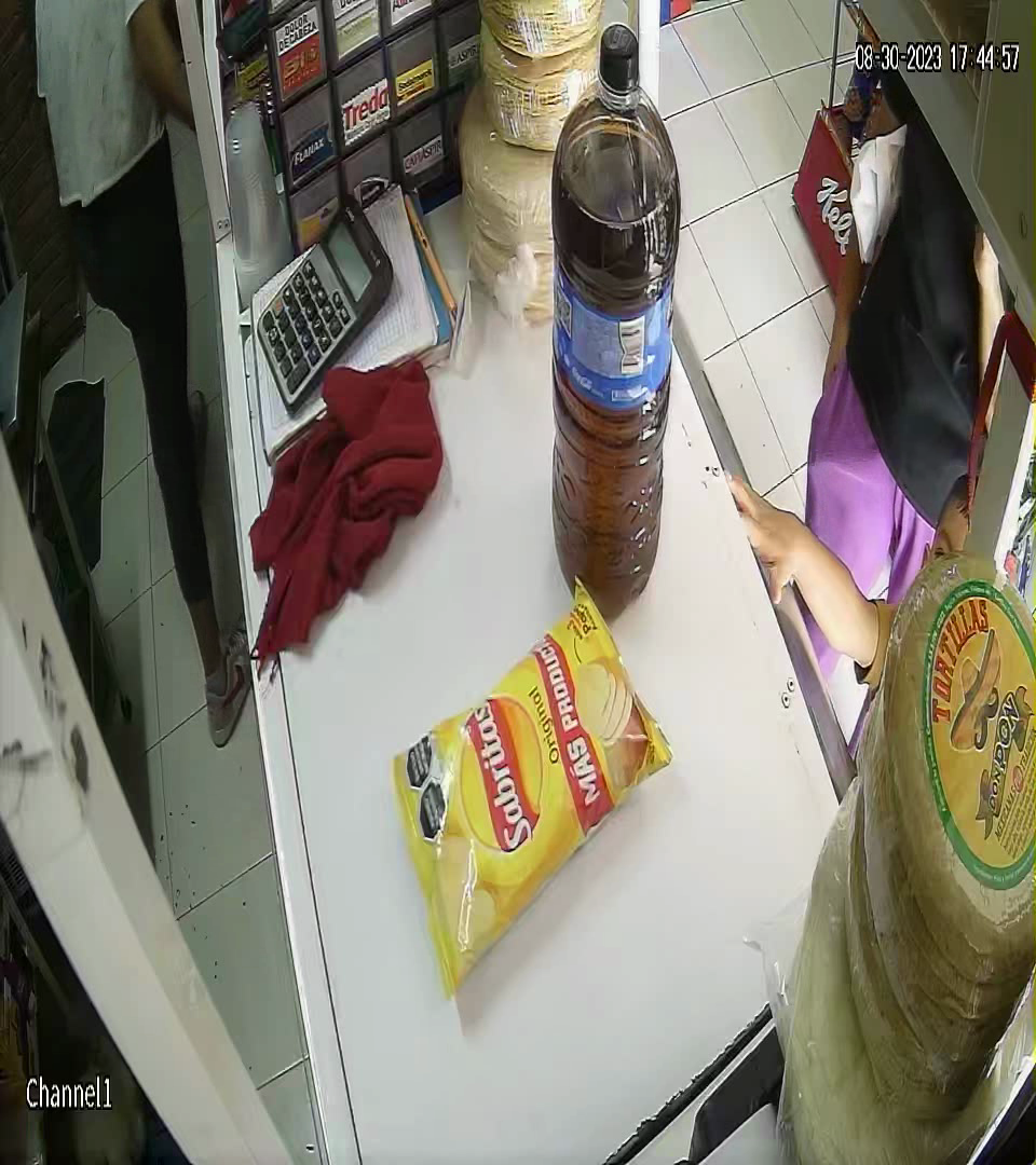 fsfsf Object Detection Model by Patricio Garbino