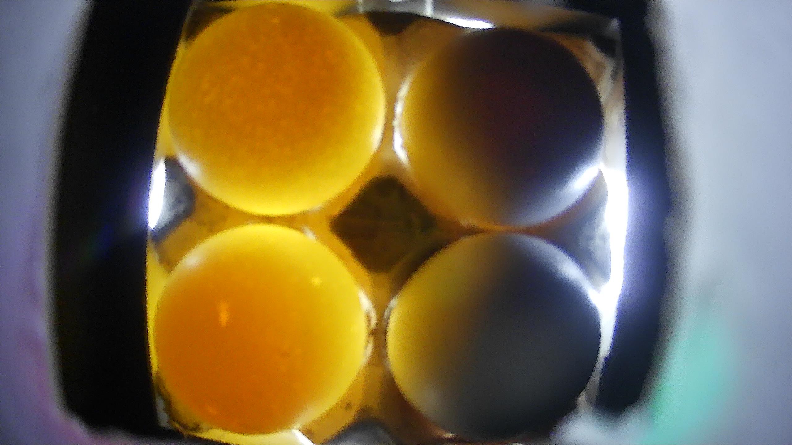 Balut the Philippines Unique Street Food