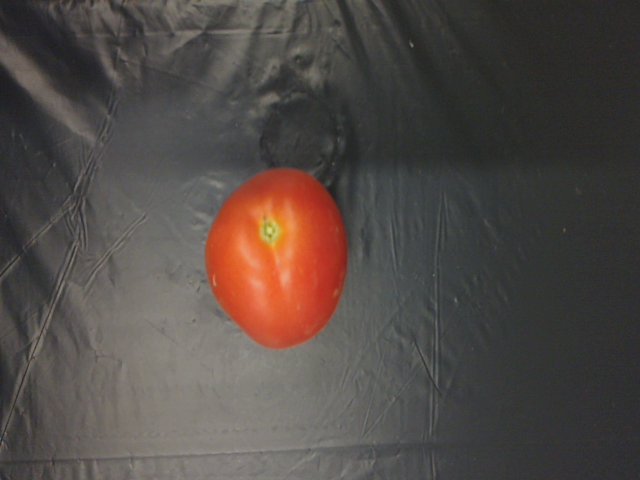 Tomato diseases Object Detection Dataset by project