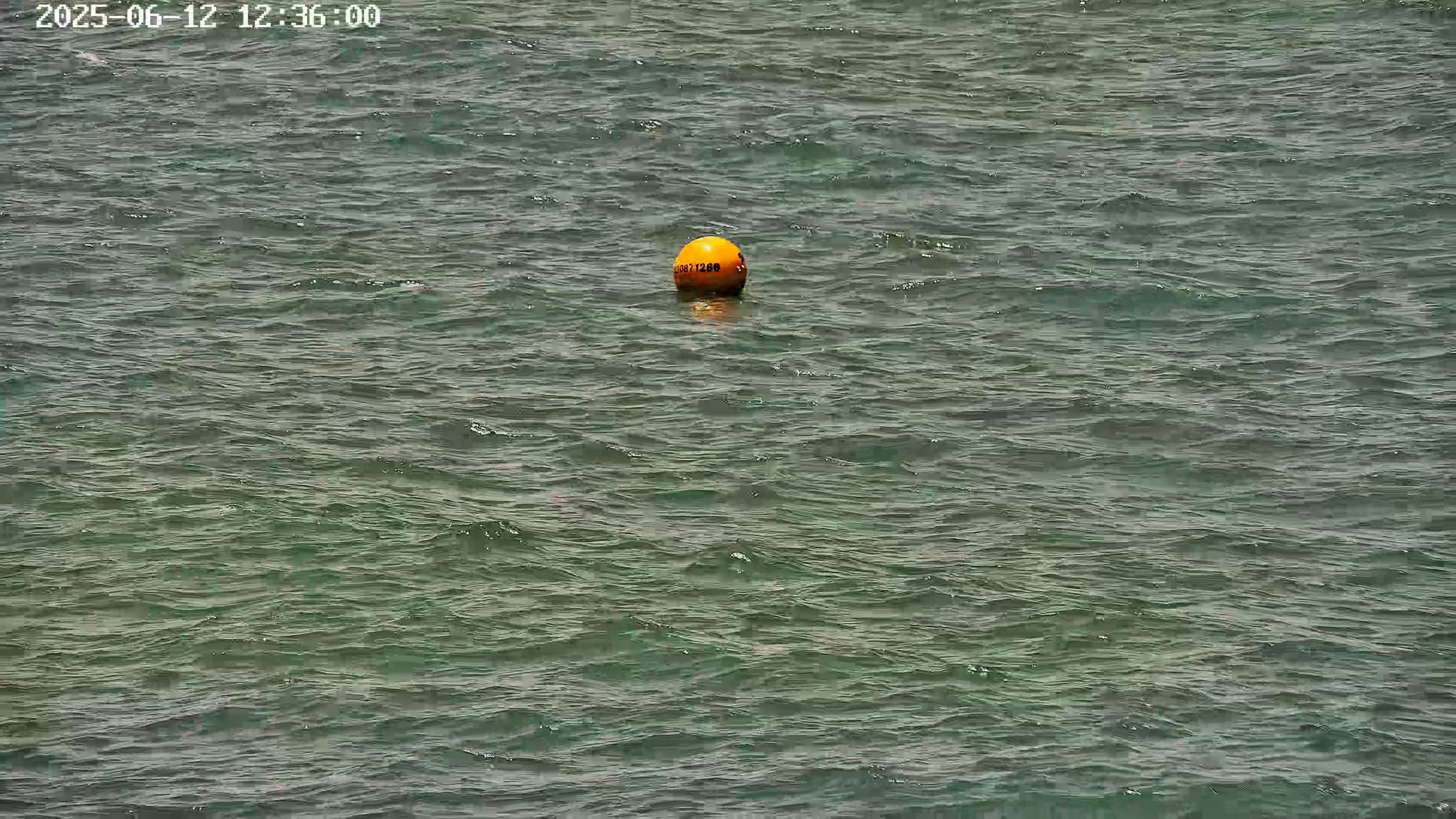 float-ball-wave-from-HK Object Detection Dataset by zengzhi