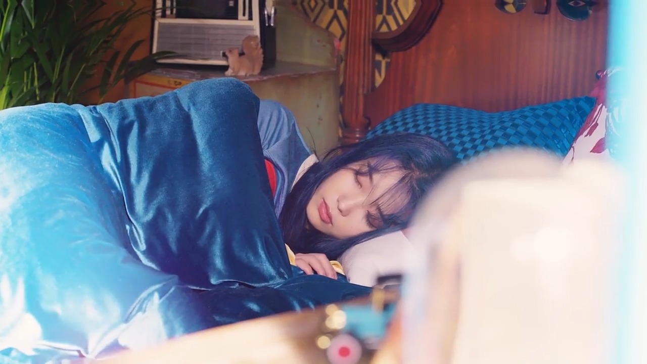 IU_Detector Object Detection Dataset and Pre-Trained Model by SJH