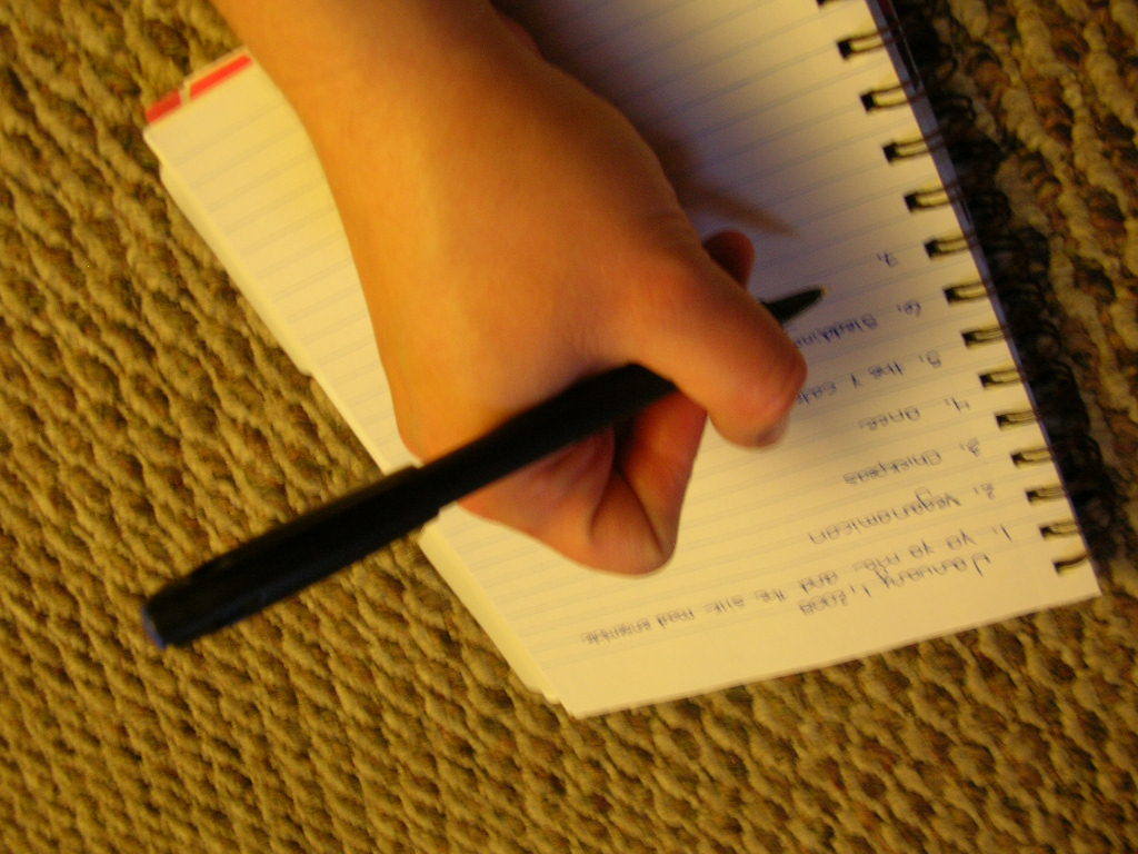 yolo1 Object Detection Dataset by yolo