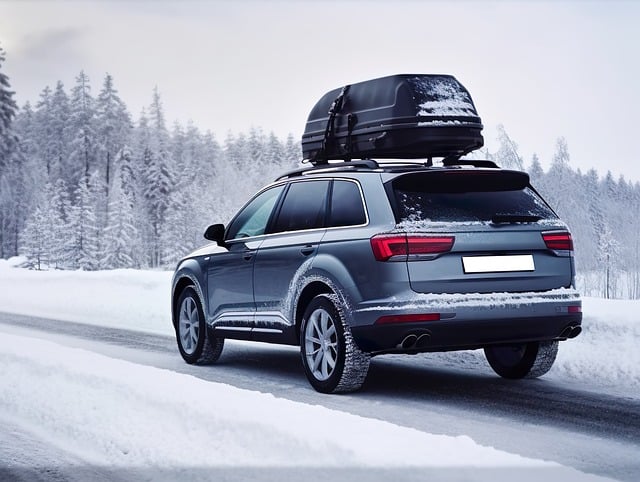 Face Raccoon Car Object Detection Dataset And Pre Trained Model By Myyolo