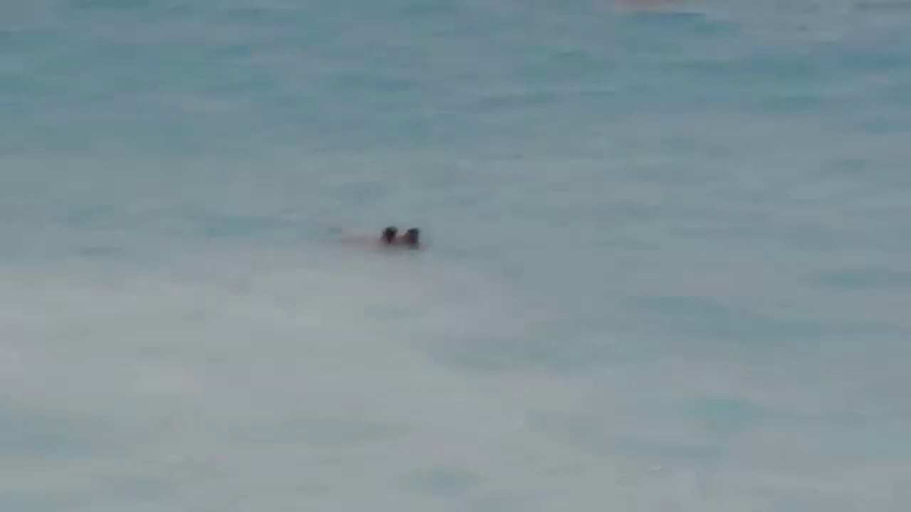 Drowning Dataset Object Detection Dataset By Hanine