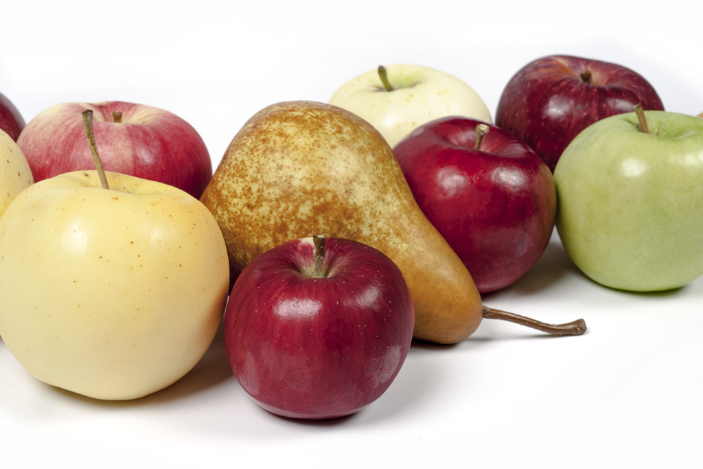 Apple-Counter Object Detection Dataset by ENGINWORKSPACE