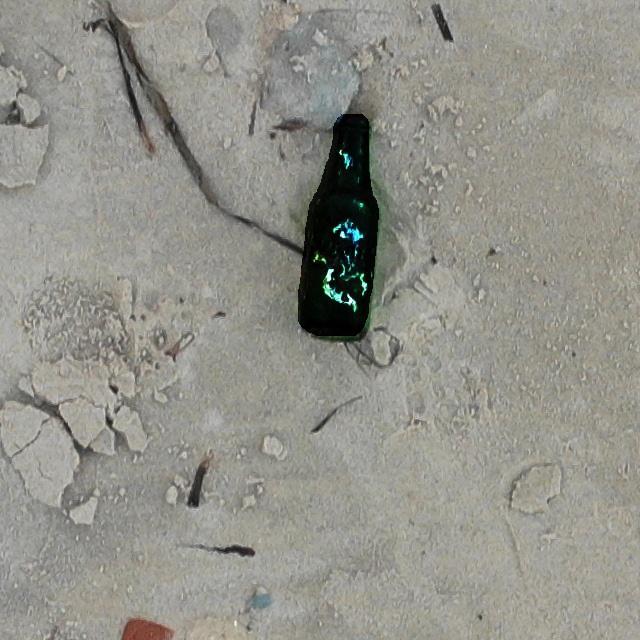 anas (anas-3wrwe) - Roboflow Universe