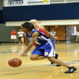 BasketBall Object Detection Dataset by biplob004