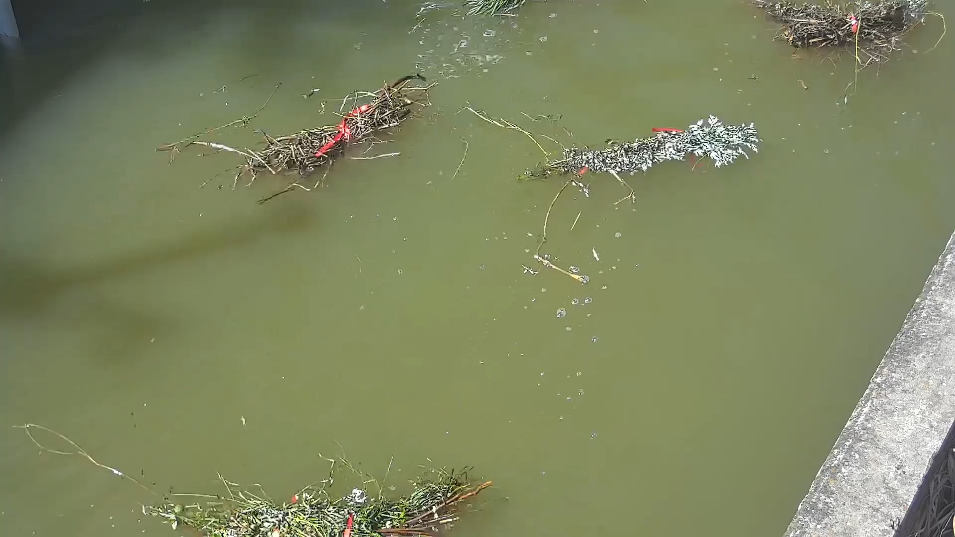 AIProject Object Detection Model by AIproject