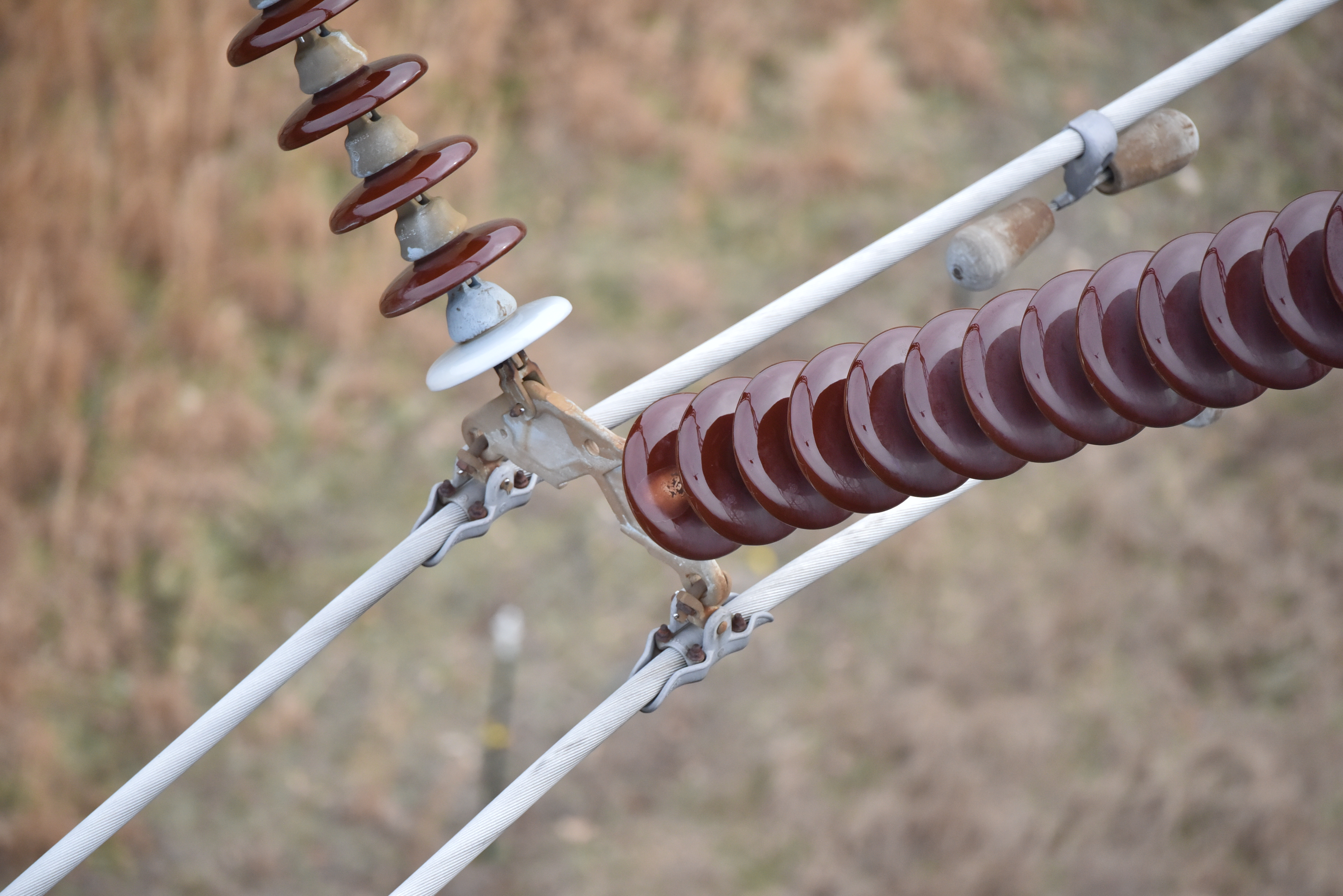 insulator Object Detection Model by guichen