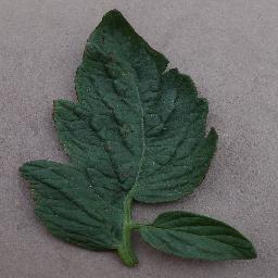 How to Use the Crop Disease Identifier Classification API