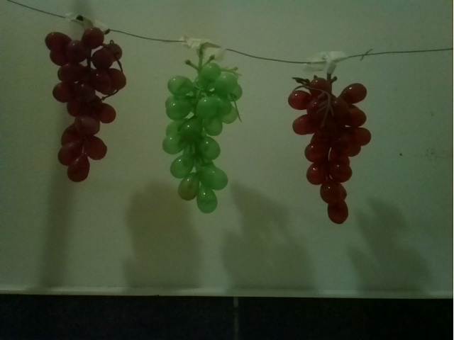 Grapes Object Detection Dataset by yoloobjectdetection