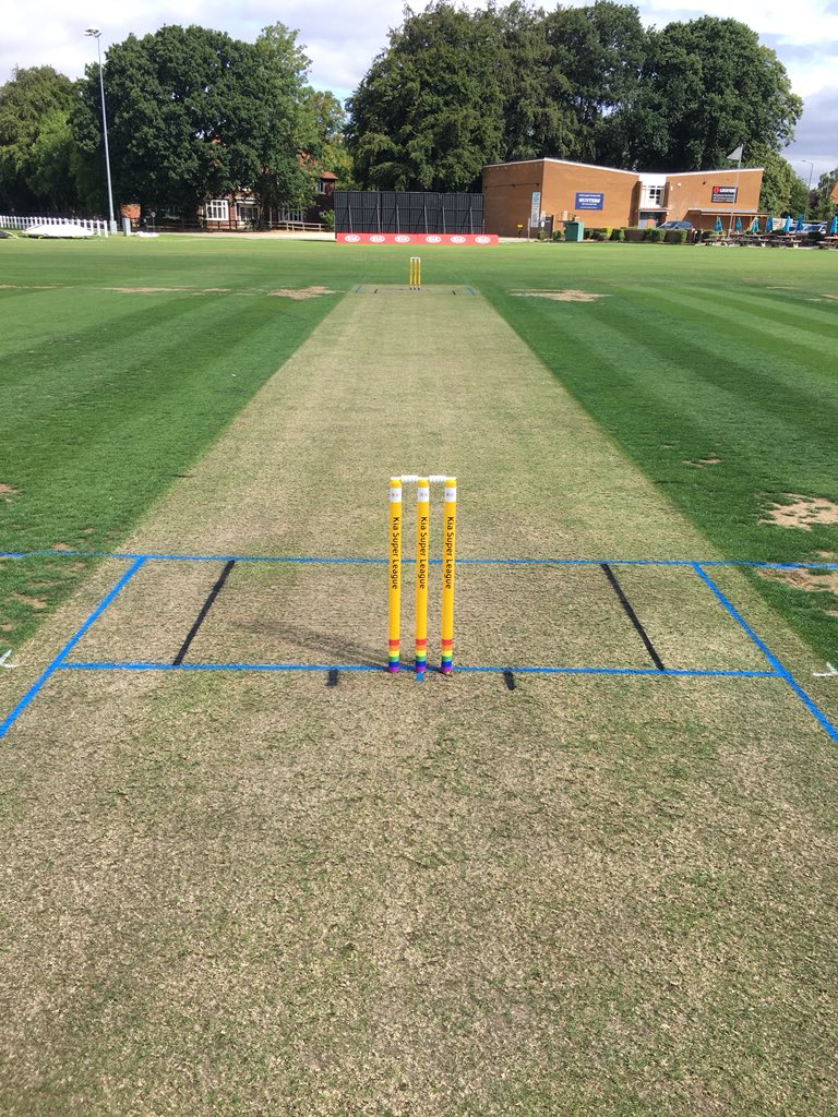 Stumps Object Detection Dataset By Pitch Detection