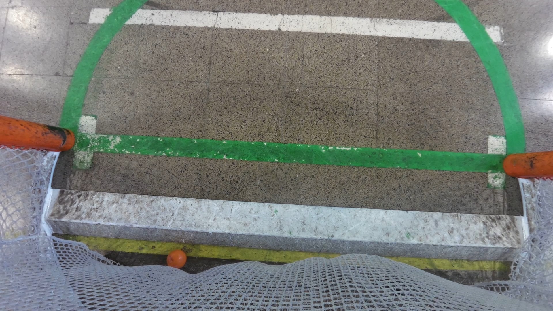 Goal Detection Rink Hockey Object Detection Dataset and Pre-Trained Model by Mart Capilla