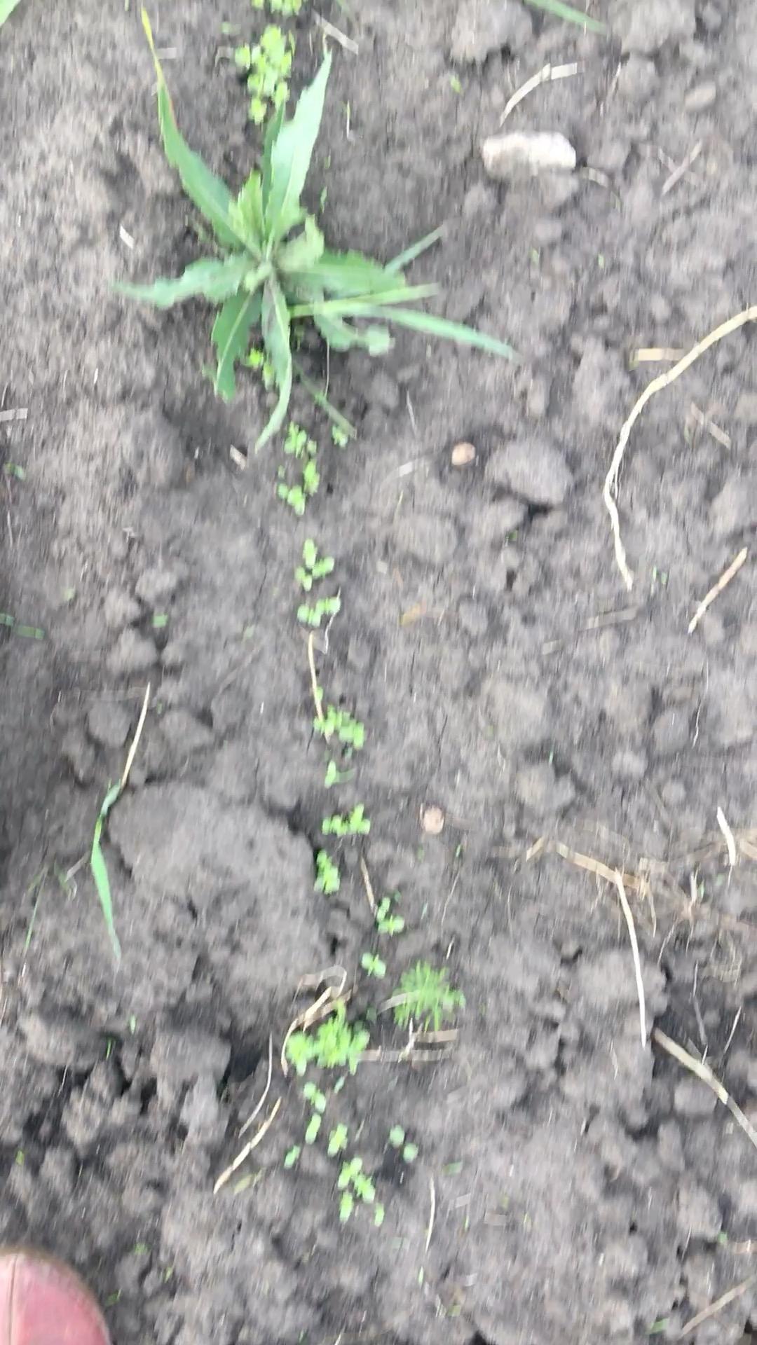 60imagedetection Segmentation Instance Segmentation Dataset By Project Iov8s