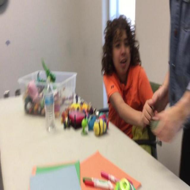 assult Object Detection Dataset and Pre-Trained Model by Finalproj