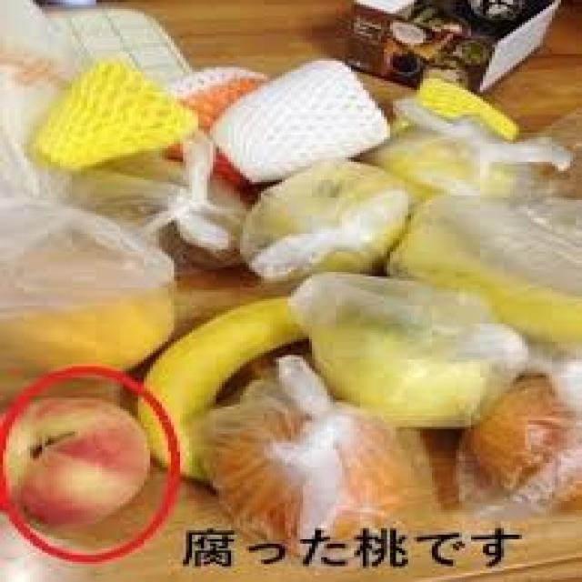 waste segregation Object Detection Model by foster