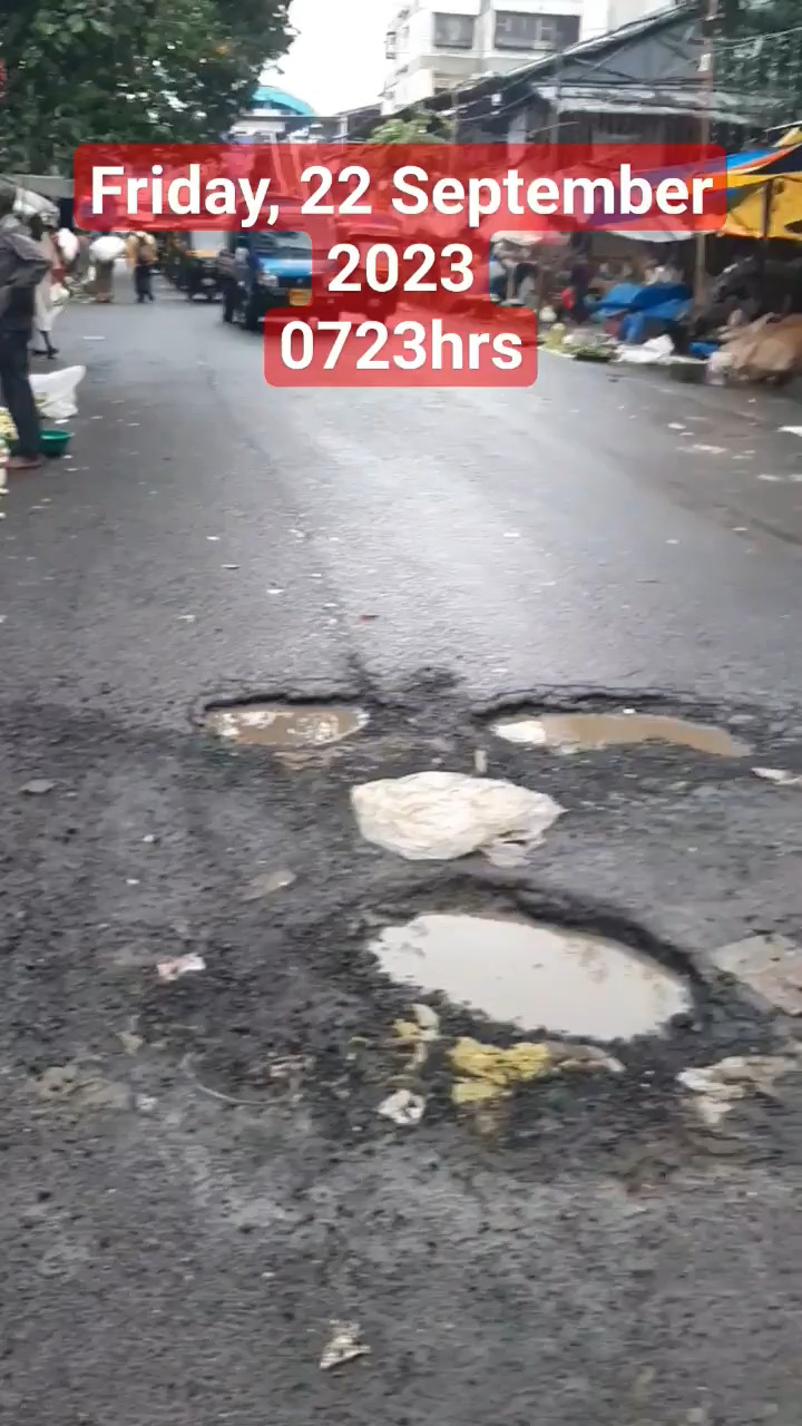 pathole-detection-projects Instance Segmentation Model by vitvellore