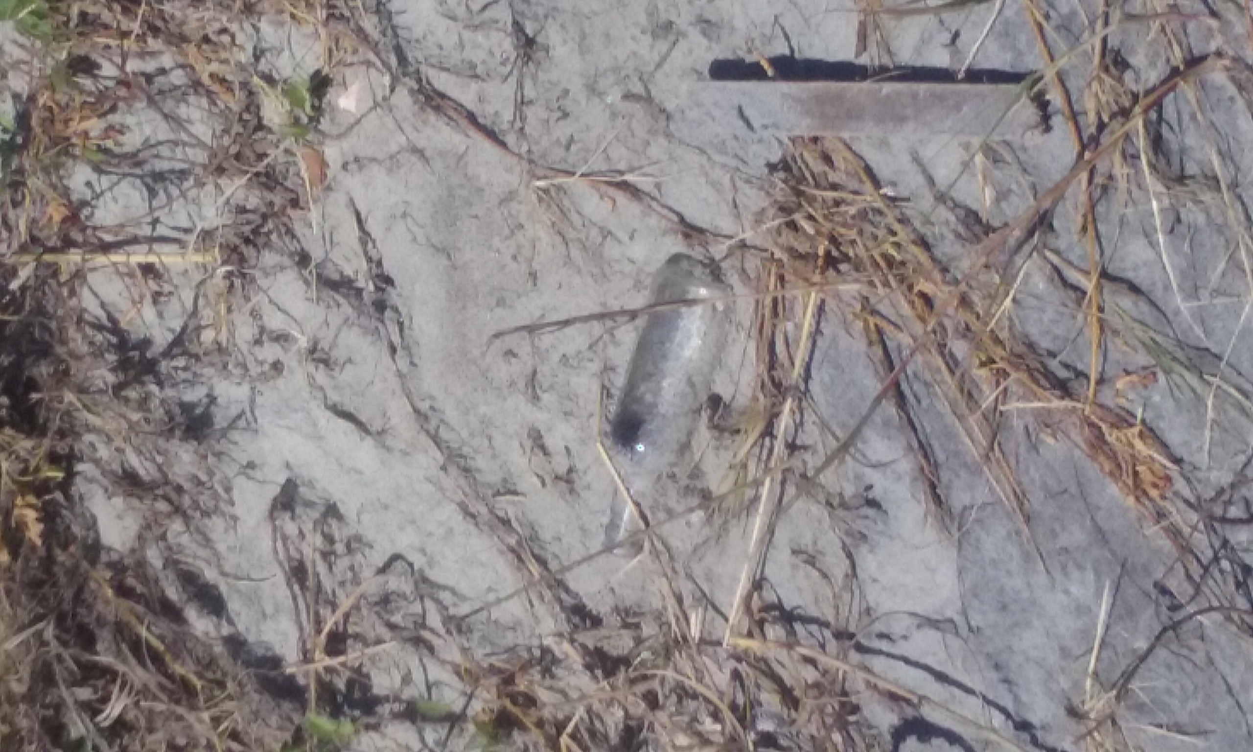 trash Object Detection Dataset by COCO to Yolo