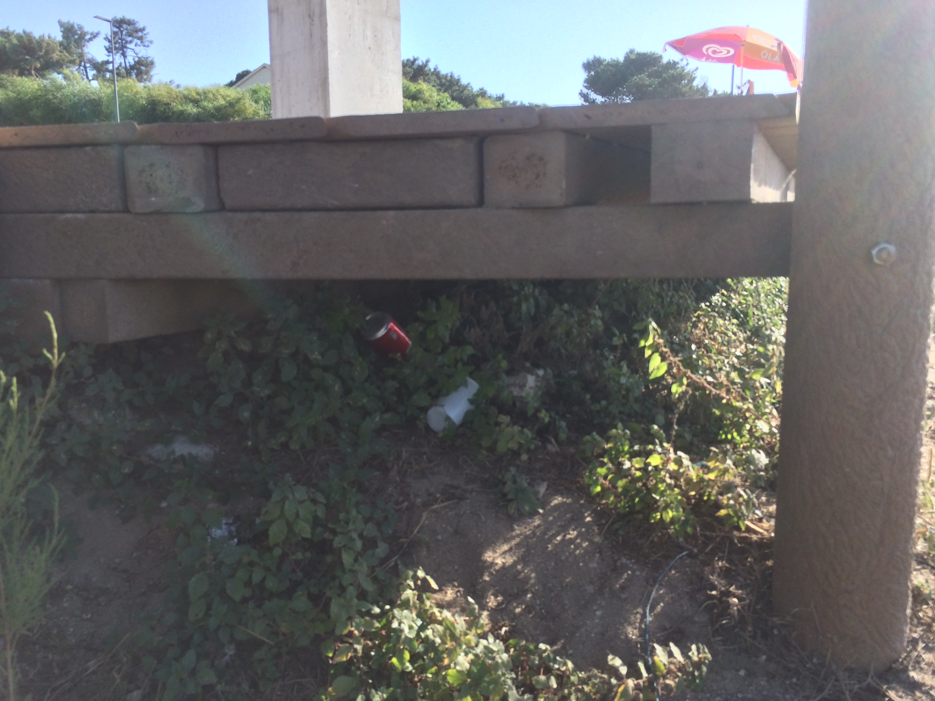 Garbage Detection Object Detection Model By Face