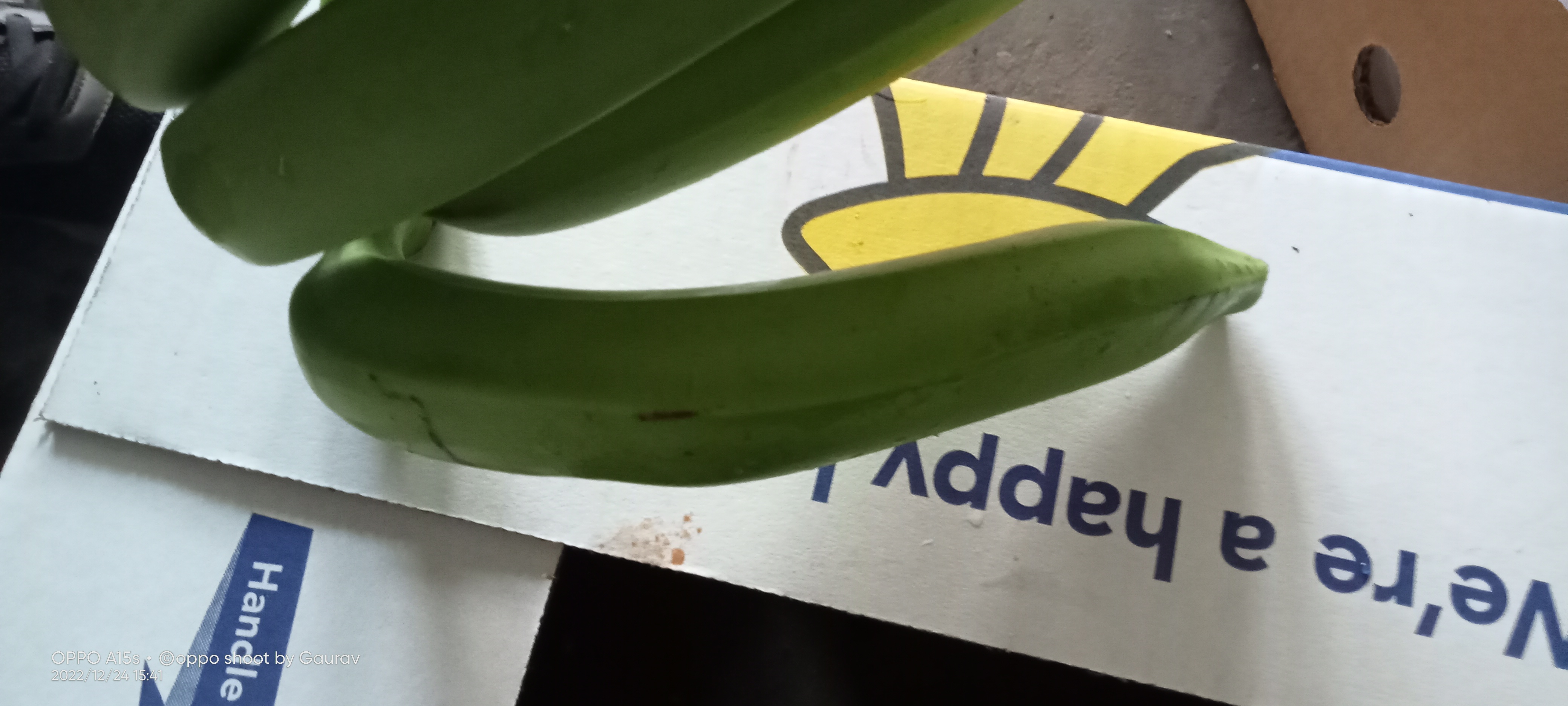 Green Banana Object Detection Dataset By Dicky
