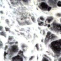 surface Object Detection Dataset by school