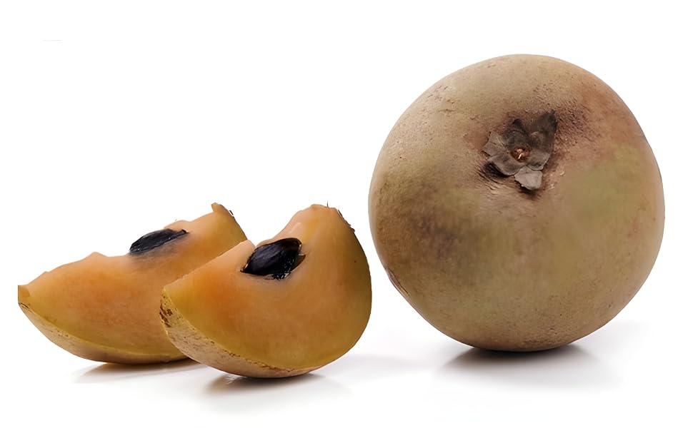 Chikoo Detection Object Detection Dataset By Swaraj