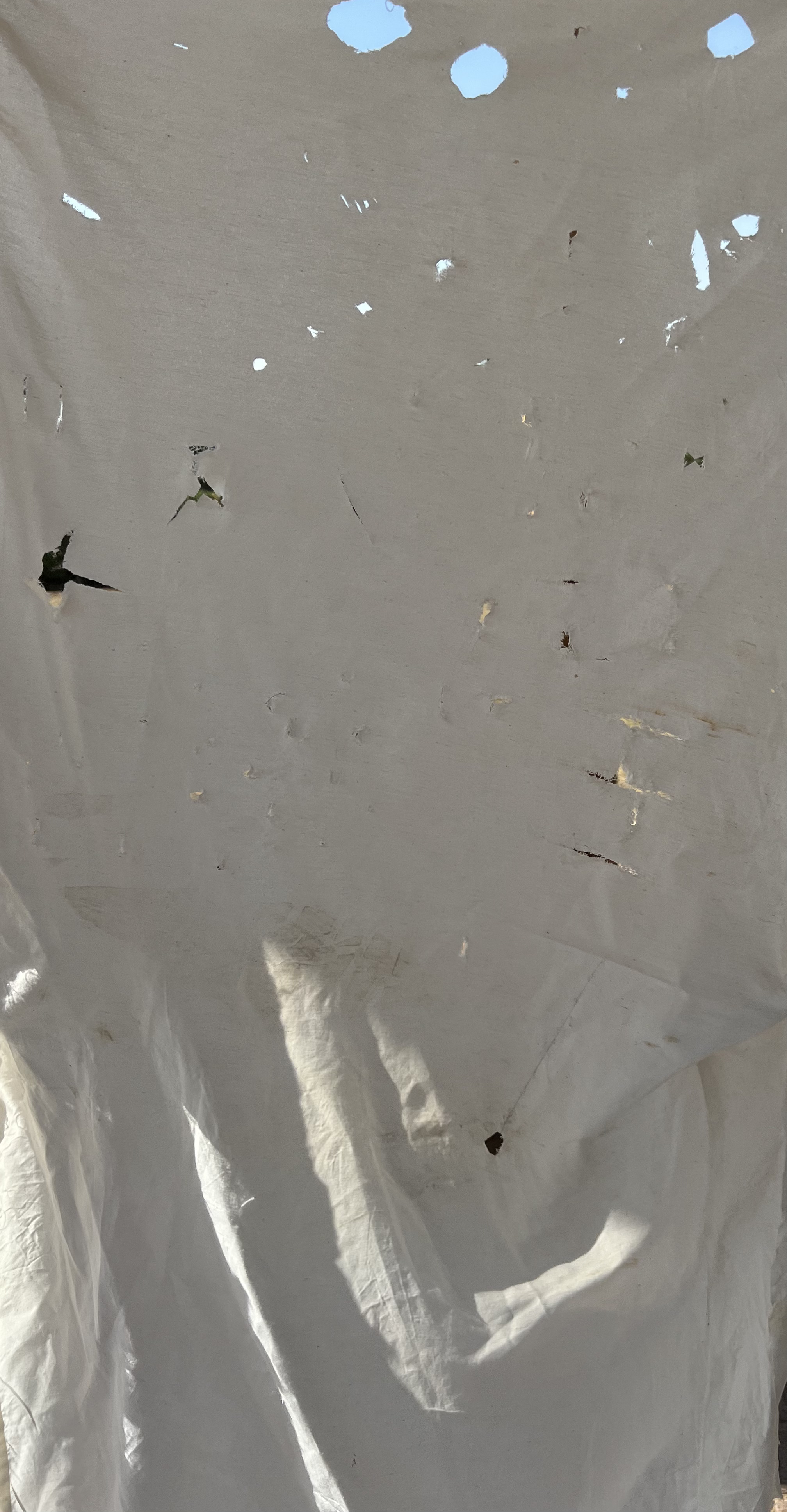 Fabric Defect Detection System Object Detection Dataset And Pre Trained Model By Shaheryar Ali Khan