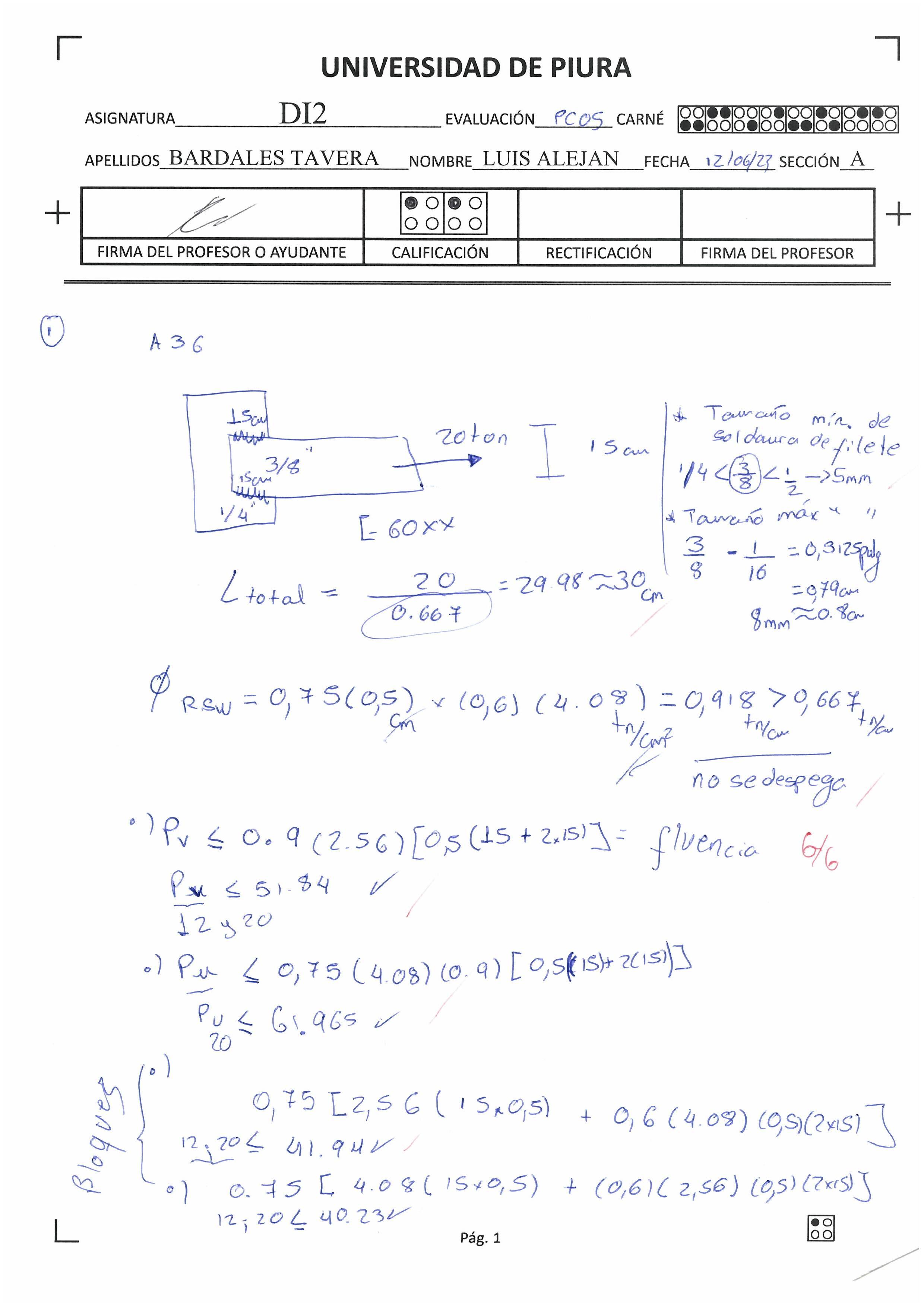 project1 Instance Segmentation Dataset by trial