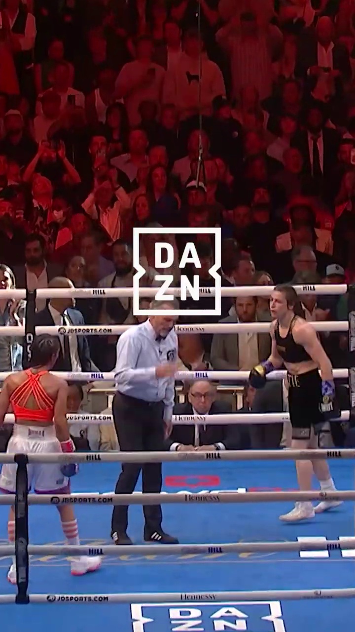 boxing_demo Object Detection Dataset by shai schneider