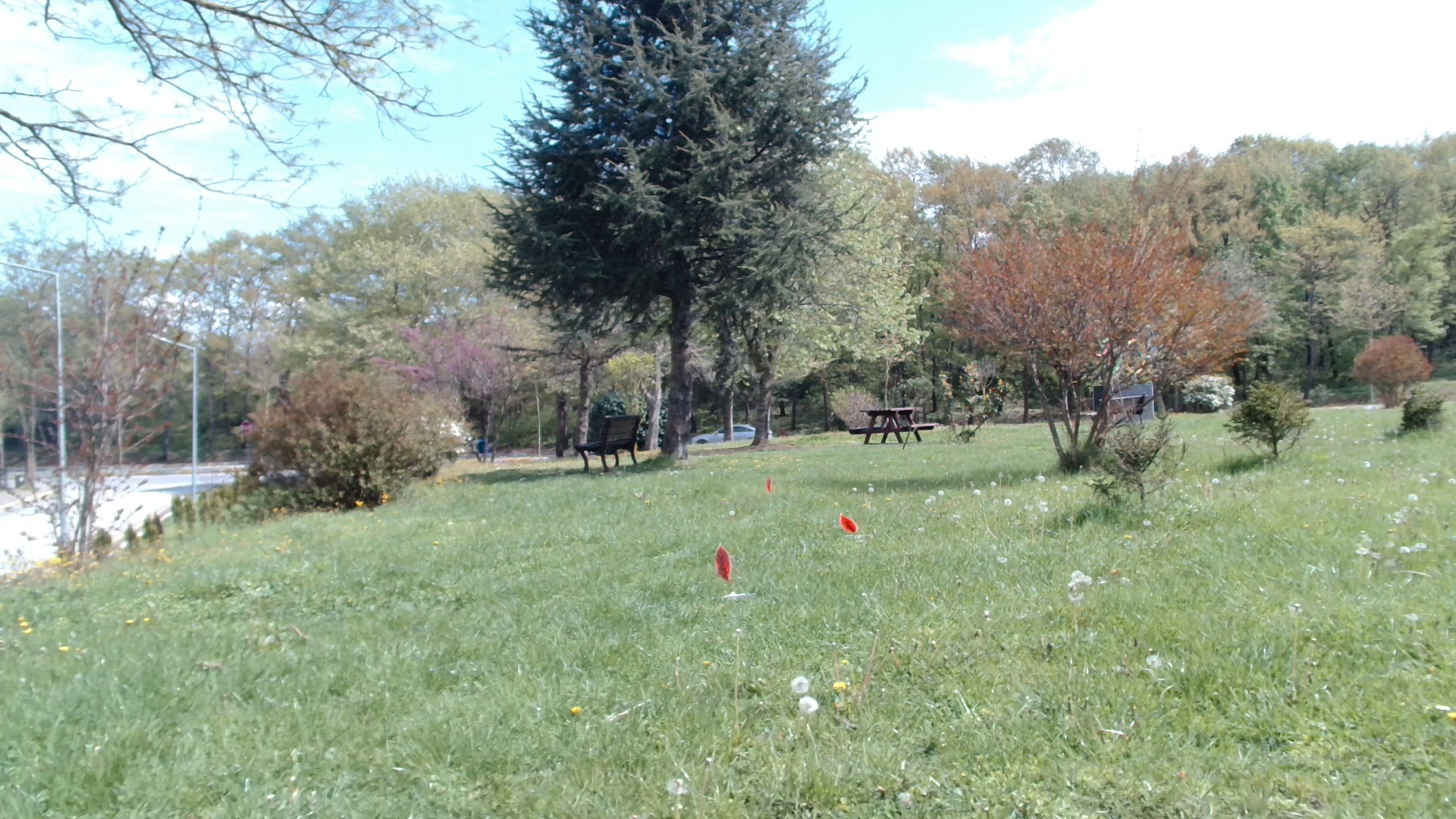 Plant Detection Object Detection Dataset By Okul