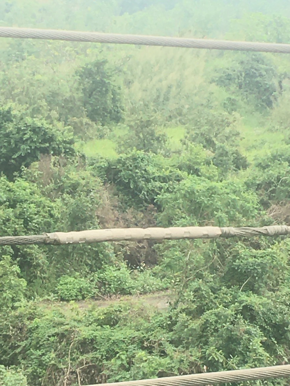 A.5.mnoi_tt Object Detection Dataset by DANANGPC2