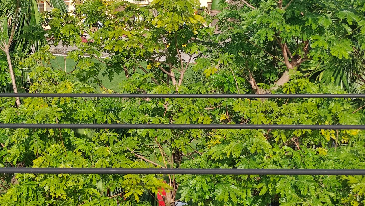 A.1.ddan_boc_tt Object Detection Dataset by DANANGPC2