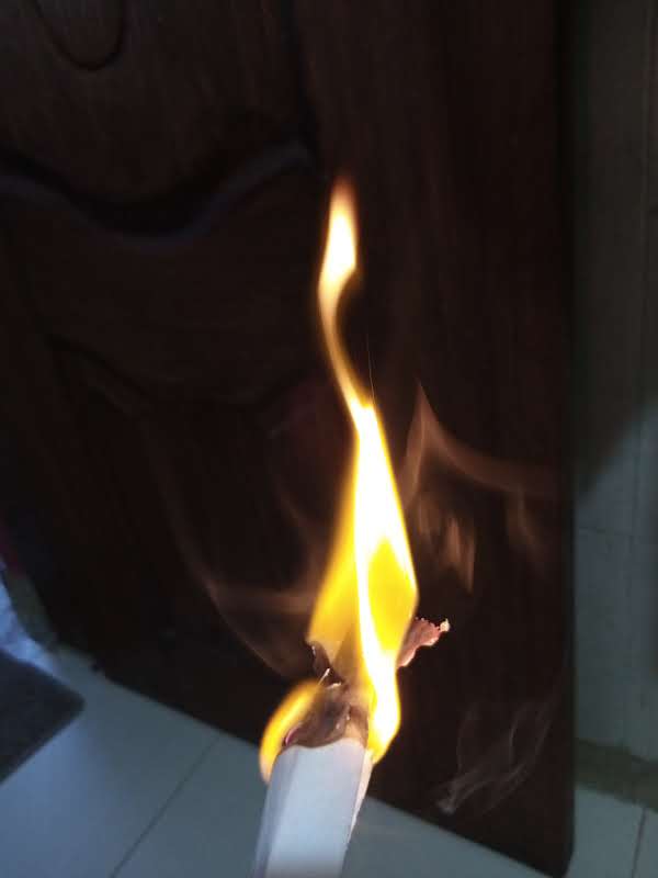 final year project Instance Segmentation Dataset and Pre-Trained Model by FAST