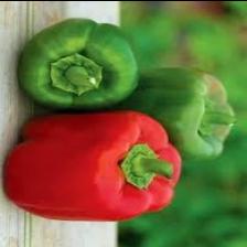 PepperSegmentation Instance Segmentation Model by pepper