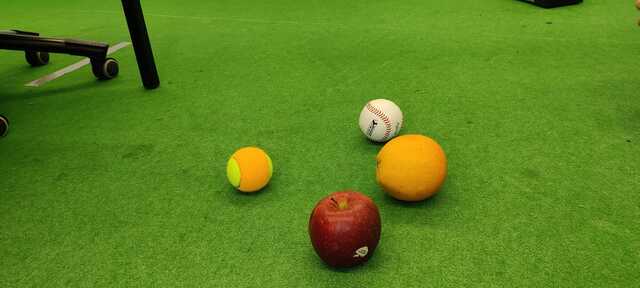 objetos Comunes/common objects Object Detection Dataset by Sveltelpit Ws