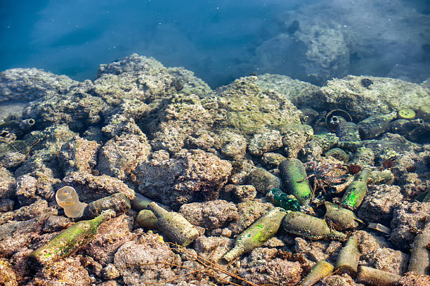 Underwater Object Detection Object Detection Dataset And Pre Trained Model By Underwater
