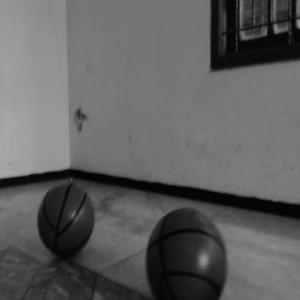 SoccerBalls Object Detection Dataset and Pre-Trained Model by Balls